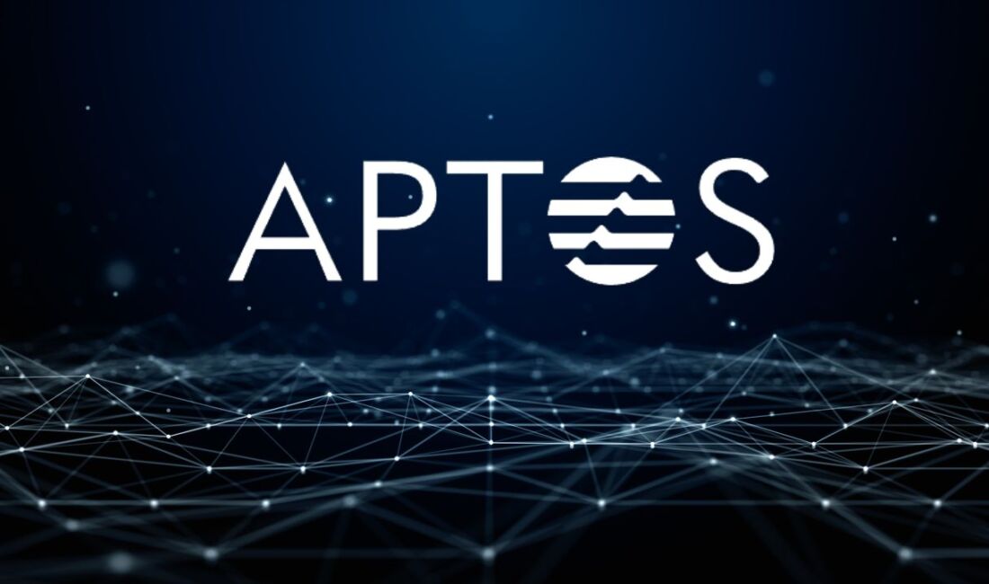 Aptos Nedir, Nasıl Çalışır? 16 Başlıkta APT Coin Geleceği, Yorum ...