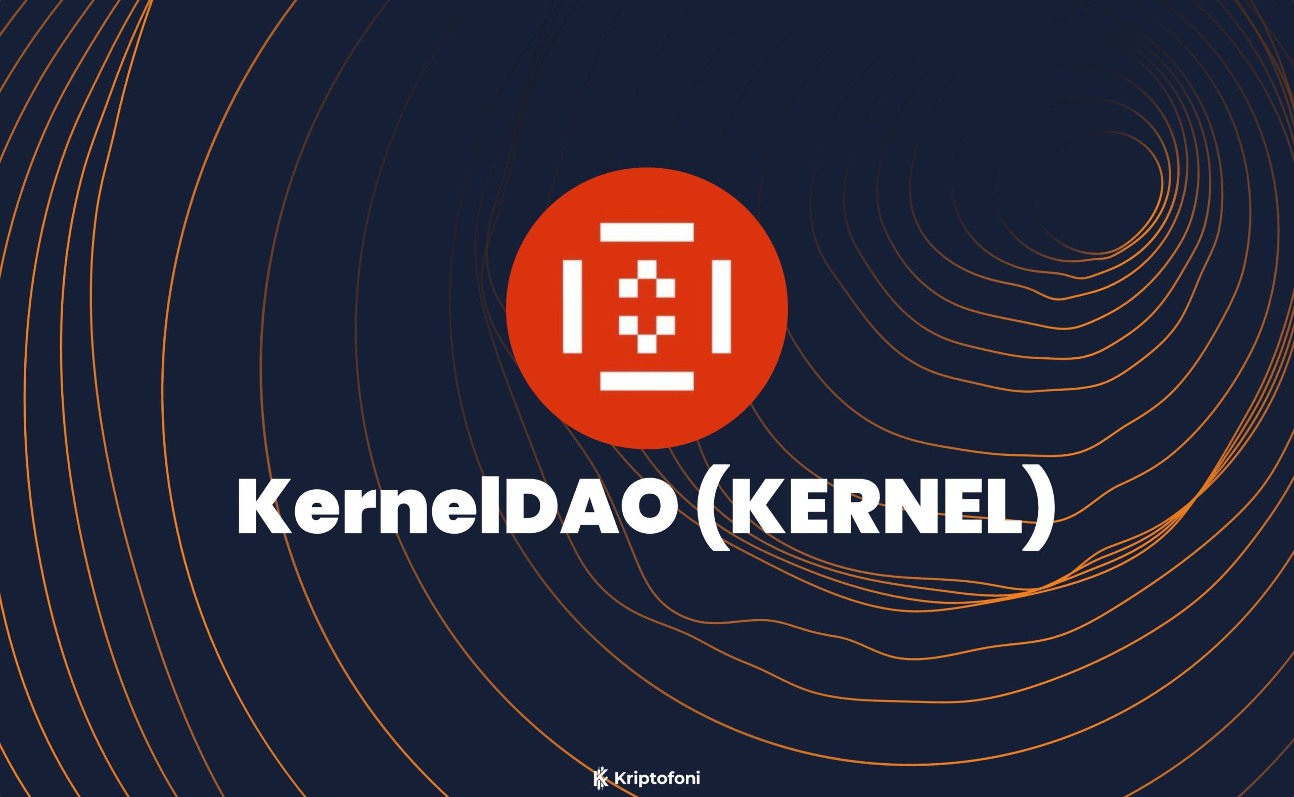 KernelDAO Nedir, Nasıl Çalışır? 6 Başlıkta Kernel Coin Geleceği, Yorum ...