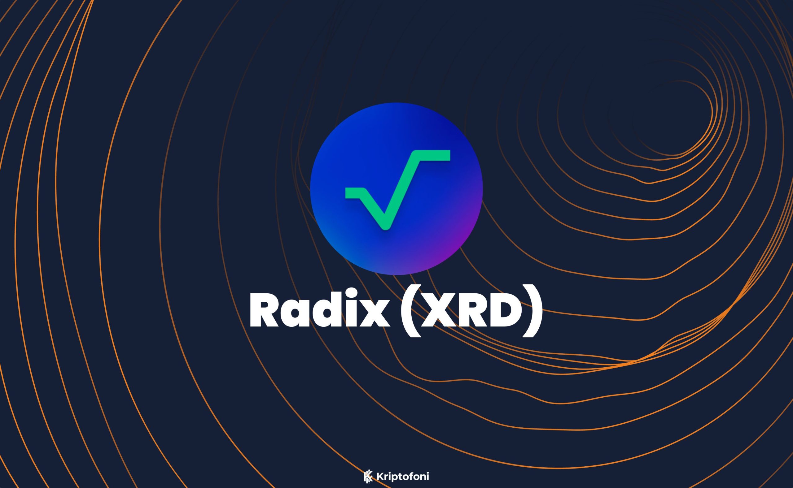 Radix Nedir, Nasıl Çalışır? 15 Başlıkta XRD Coin Geleceği, Yorum ...