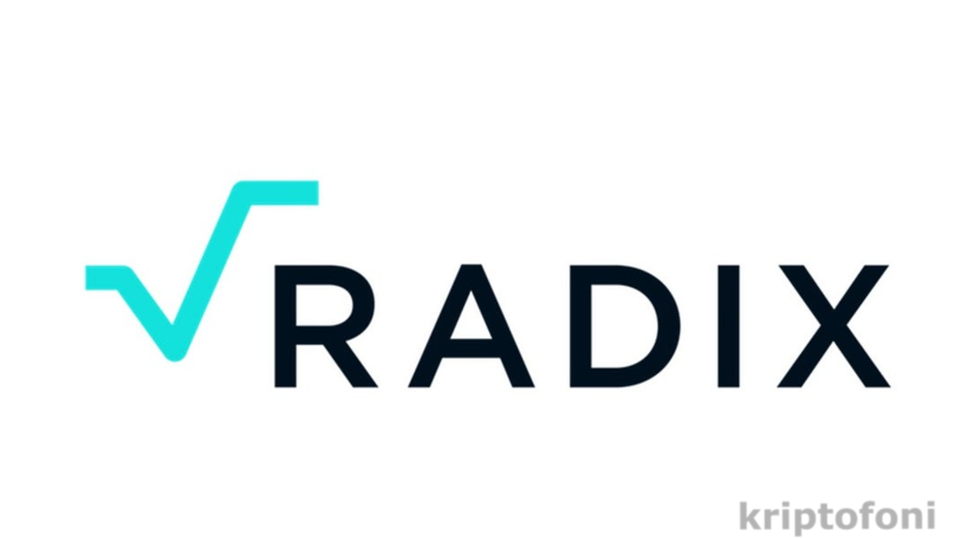 Radix Nedir, Nasıl Çalışır? 15 Başlıkta XRD Coin Geleceği, Yorum ...