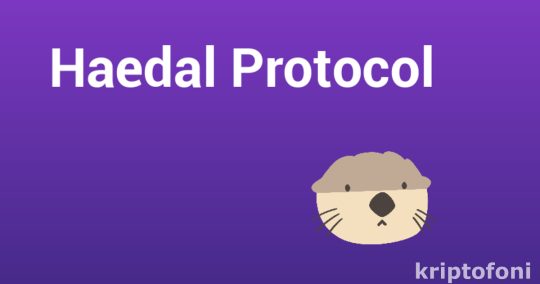 Haedal Protocol (HAEDAL) Coin Nedir? - Kriptofoni