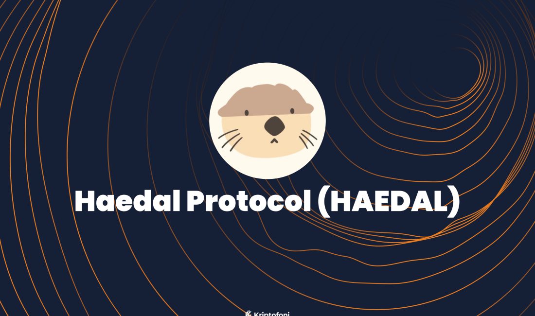 Haedal Protocol (HAEDAL) Coin Nedir? - Kriptofoni