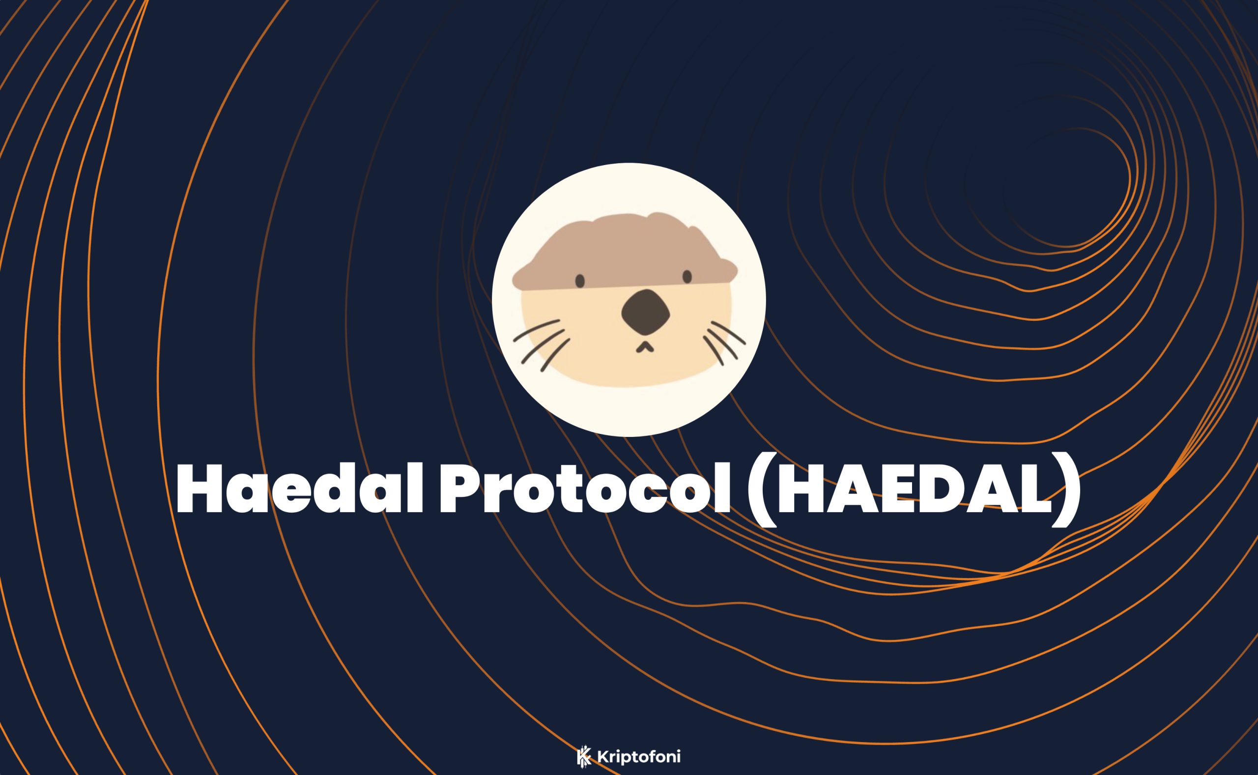 Haedal Protocol (HAEDAL) Coin Nedir? - Kriptofoni
