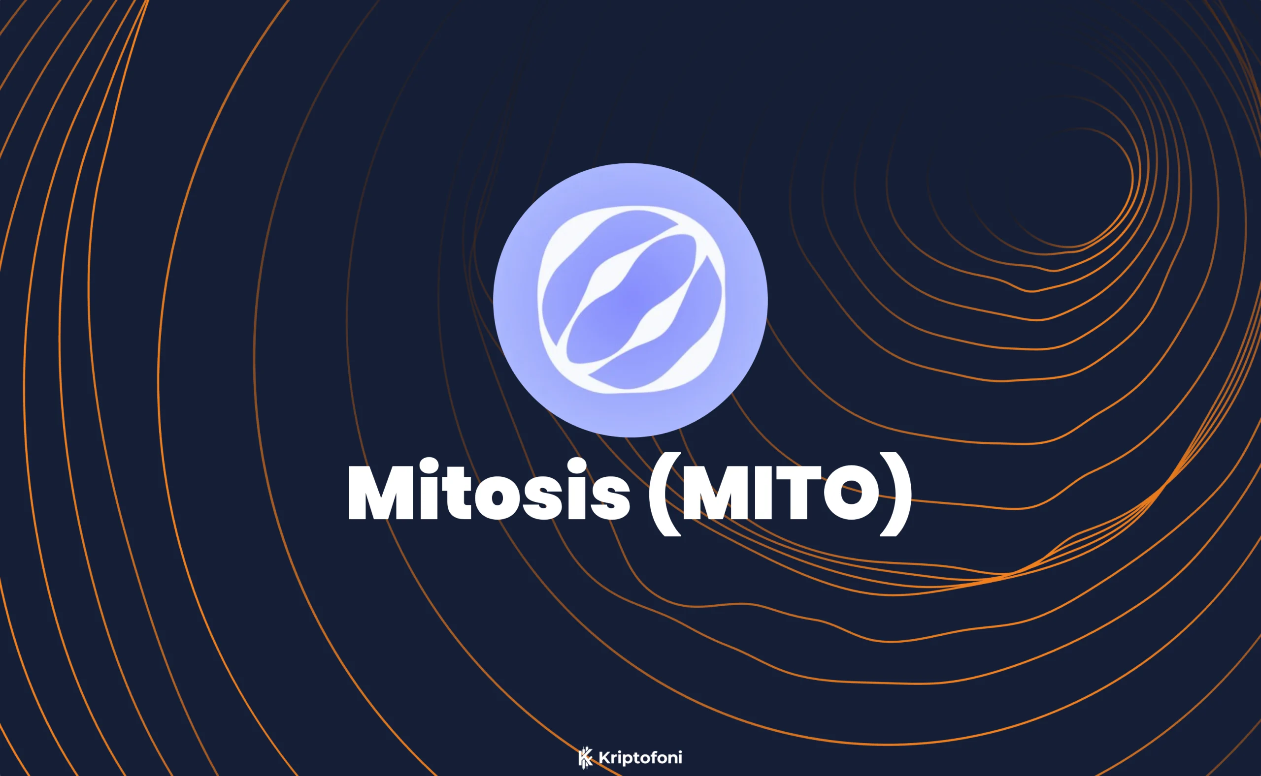 Mitosis (MITO) Coin Nedir? - Kriptofoni